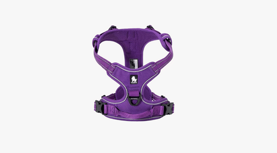 Best Harnesses For Pugs: Ratings, Reviews & Top Picks | Canine Journal