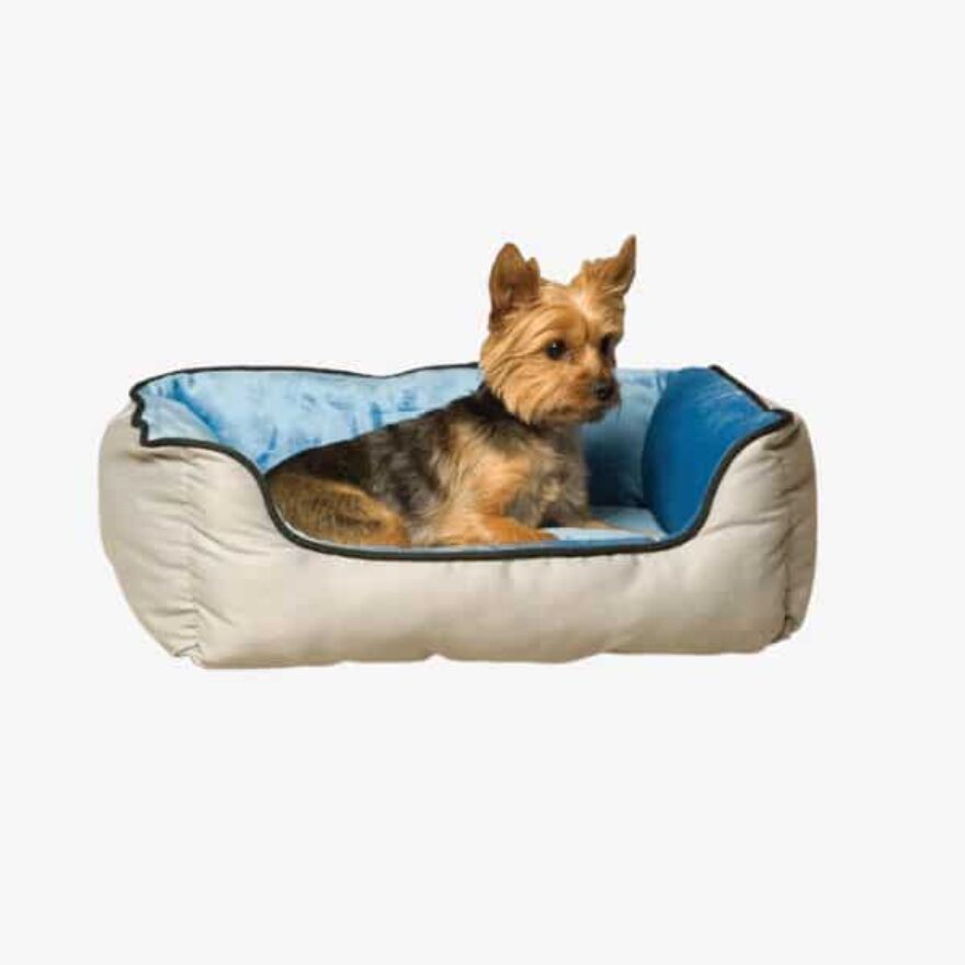 Best Dog Beds For Yorkies: Couch, Mattress, Elevated & More | Canine ...