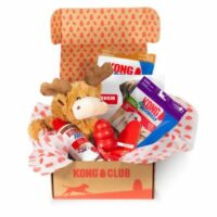 Best Dog Subscription Box 2025: Pet Treater vs BarkBox vs PupBox vs ...