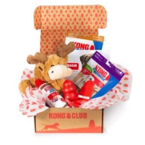 Best Dog Subscription Box 2026: Pet Treater vs BarkBox vs PupBox vs ...