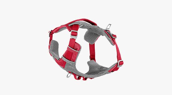 Best Harnesses For Boxers: Ratings, Reviews & Top Picks | Canine Journal