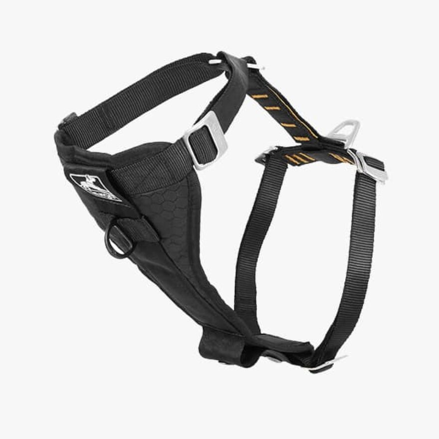 Best Harnesses For Labrador Retrievers: Ratings & Reviews | Canine Journal