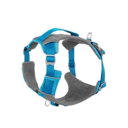 Best Harness For Standard Poodles: Ratings, Reviews, Top Picks | Canine ...