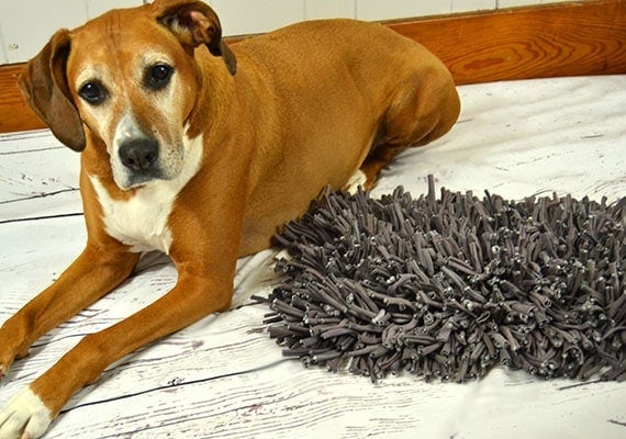 The 2 Best Snuffle Mats For Dogs (7 Tested & Reviewed!) | Canine Journal