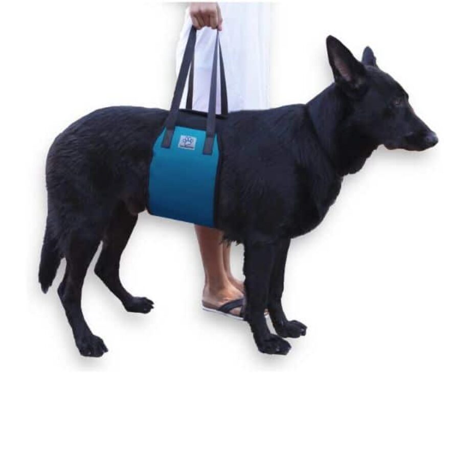 Best Dog Lift Harnesses For Handicapped, Injured, Or Weak Back Legs ...