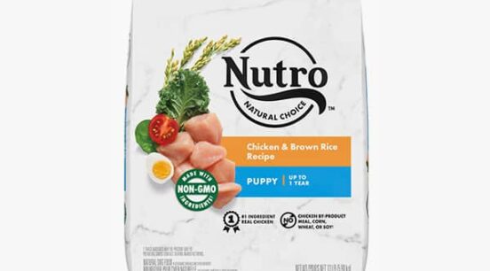 Nutro vs. Purina Pro Dog Food Comparison: Which Is Better? | Canine Journal