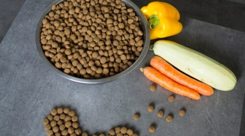 Goldendoodle Feeding Chart: What Do Goldendoodles Puppies Need To Eat ...