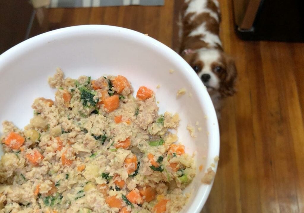 The Farmer's Dog vs Badlands Ranch: How Do These Premium Dog Food ...