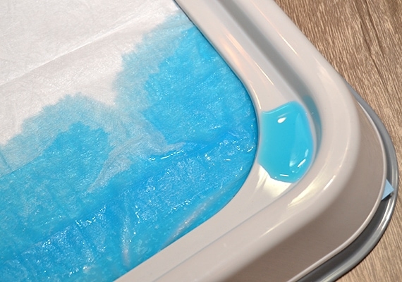 6 Best Leak-Proof Dog Pee Pads | Canine Journal