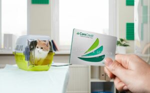 CareCredit For Pets Reviews: How Does CareCredit Work? - Canine Journal