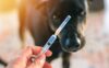 DHPP Vaccine For Dogs: Is It Necessary, How Often & Side Effects