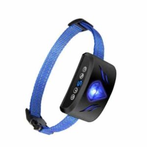 7 Best Dog Bark Collars & Alternatives For Small, Medium, Large ...