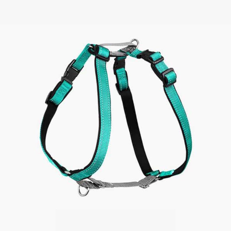 Best Harnesses For Rottweilers: Ratings, Reviews & Top Picks | Canine ...