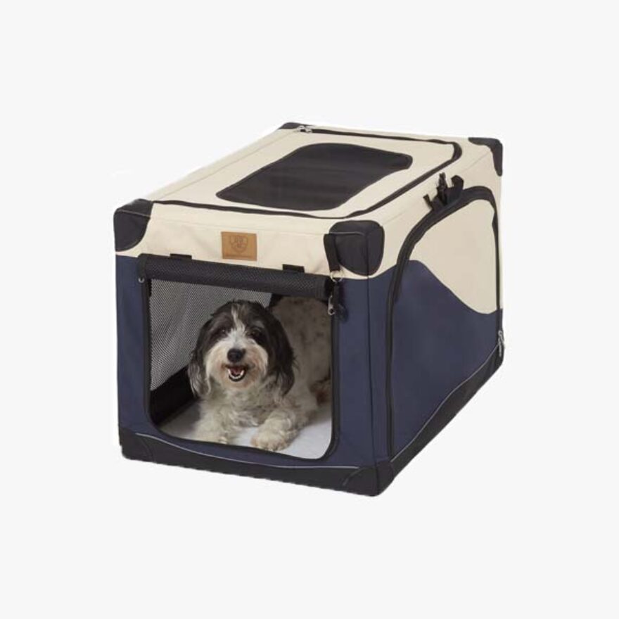 Best Dog Crates for Boston Terriers: Kennel Types & Sizes | Canine Journal