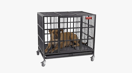 Best Heavy Duty Dog Crates That Are Practically Indestructible | Canine ...