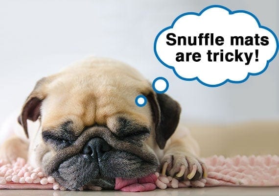 The 2 Best Snuffle Mats For Dogs (7 Tested & Reviewed!) | Canine Journal