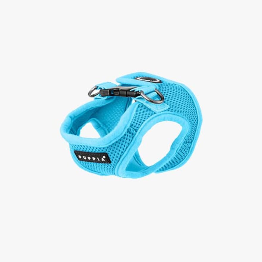 Best Harnesses For Corgis: Ratings, Reviews & Top Picks | Canine Journal