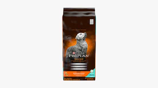 Purina ONE vs. Purina Pro Plan: What's The Difference? | Canine Journal
