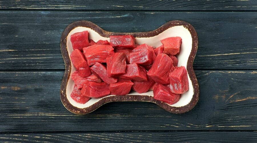 Goldendoodle Feeding Chart: What Do Goldendoodles Puppies Need To Eat ...