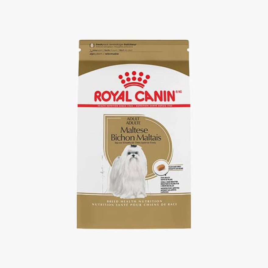 Best Dog Foods For Maltese: Puppies, Adults & Seniors | Canine Journal