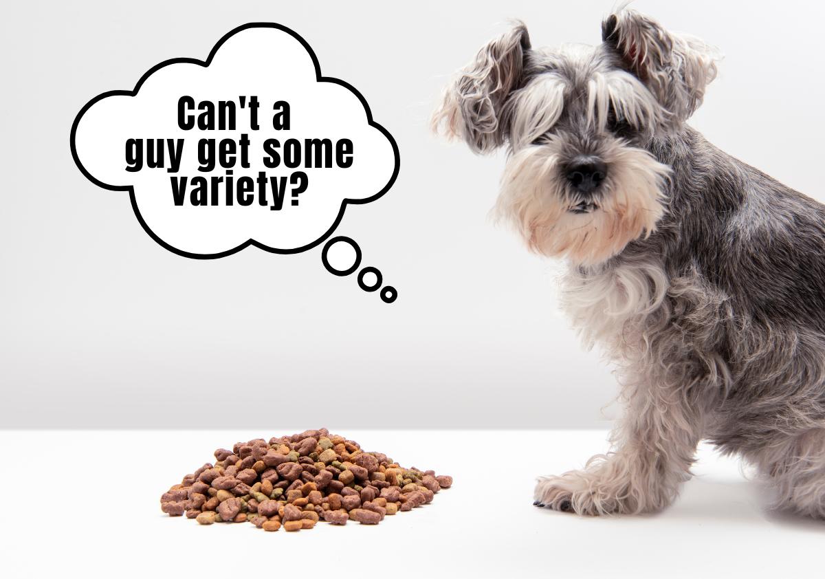 Best Dog Food For Picky Eaters | Canine Journal