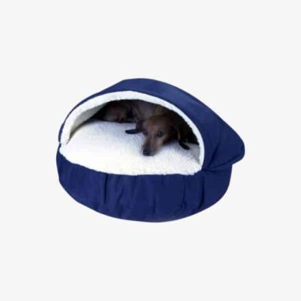 Best Dog Beds For Dachshunds | Canine Journal