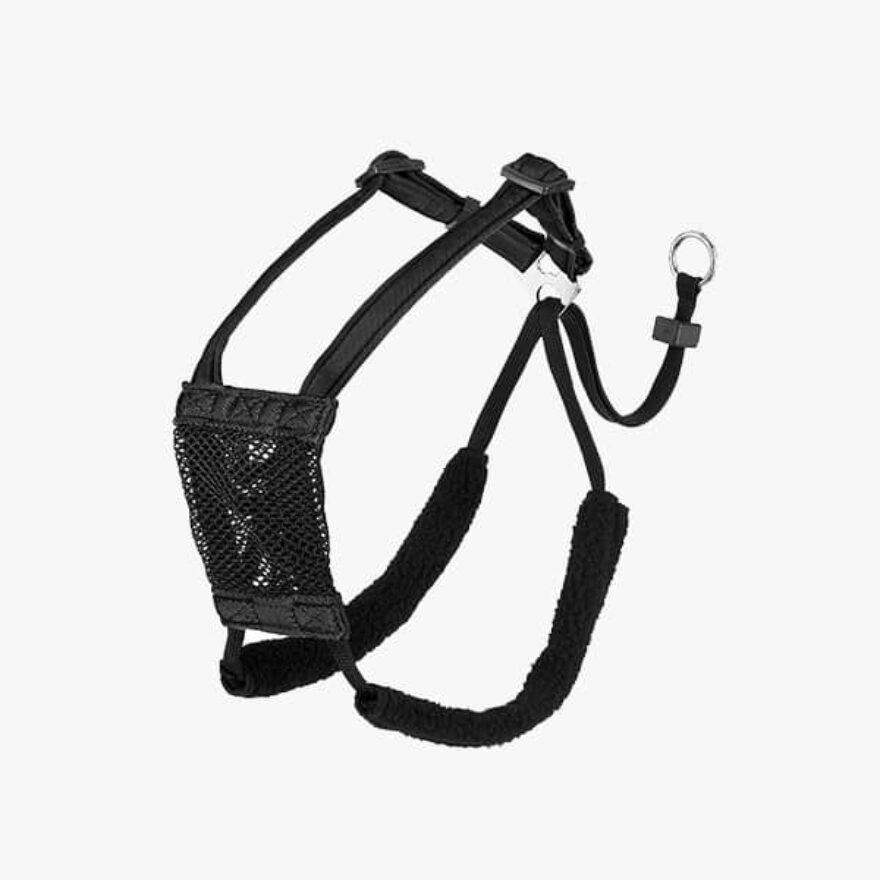 Best Harnesses For Rottweilers: Ratings, Reviews & Top Picks | Canine ...