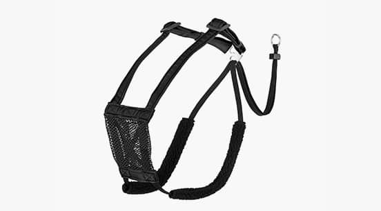 Best Harnesses For Rottweilers: Ratings, Reviews & Top Picks | Canine ...