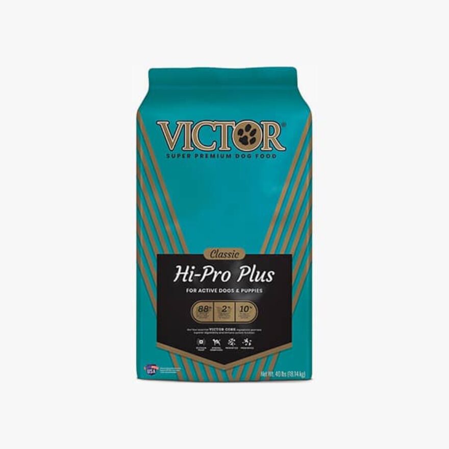 Victor Dog Food Reviews: Puppy, Adult & Senior Formulas | Canine Journal