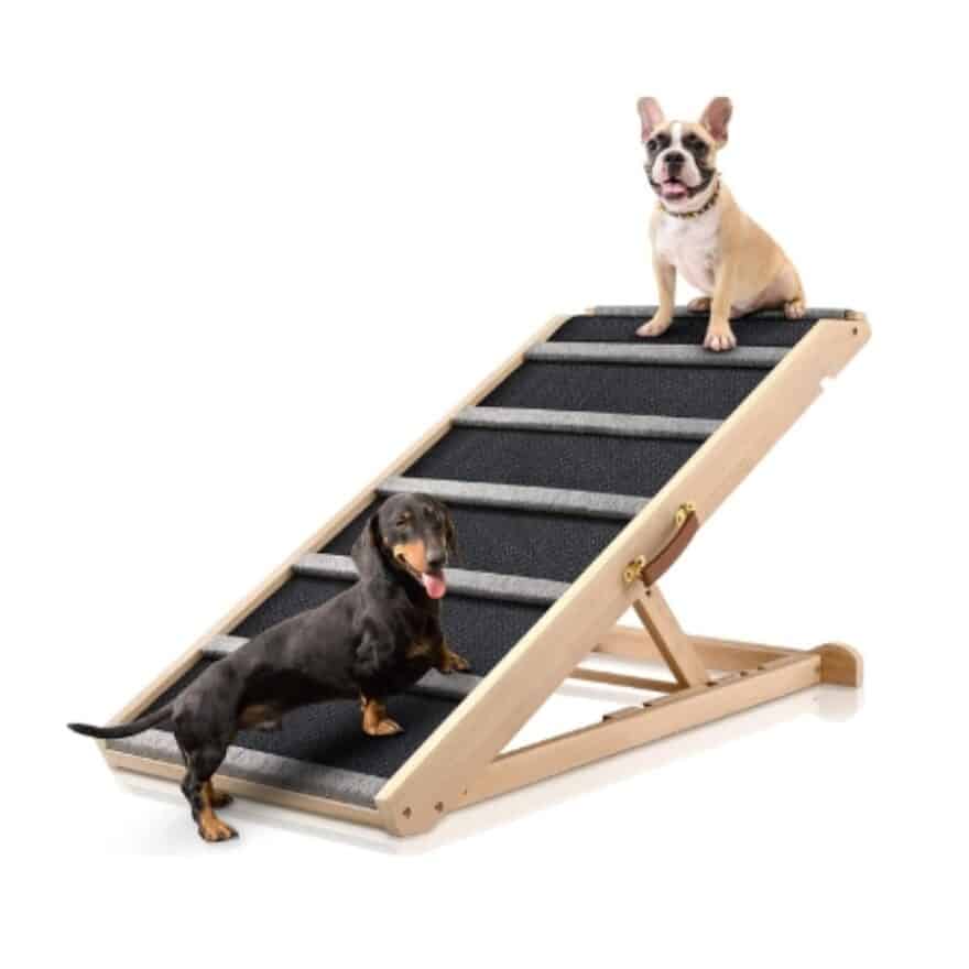 Best Dog Ramps, Stairs & Steps For Beds - Canine Journal
