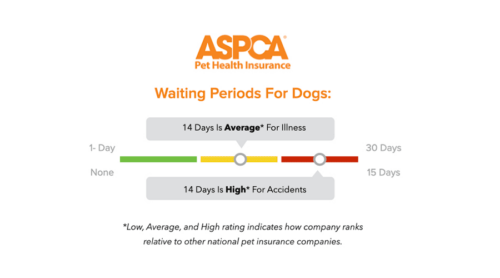ASPCA Pet Insurance Reviews: Coverage, Quote, Cost, App, Complaints ...