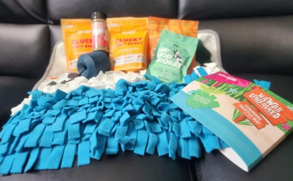 BARK Food Reviews: Recipes, Features & Our Personal Experience
