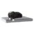 Best Orthopedic Dog Bed Reviews (The Comfy Way to Relieve Joint Pain)
