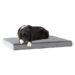 Best Orthopedic Dog Bed Reviews (The Comfy Way to Relieve Joint Pain)