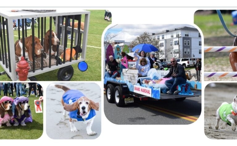 Annual Dog Breed Meet-Ups & Events In 2025 For Dog Lovers - Canine Journal