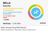 Embark Dog DNA Test Reviews: Is Your Dog's Breed (Or Age) A Mystery ...
