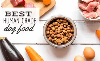 What Is Human Grade Dog Food