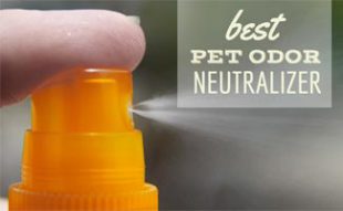 What’s The Best Pet Odor Neutralizer For Dogs, Cats & Homes ...