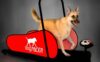 4 Best Dog Treadmills: Motorized, Self-Propelled, Manual, Training Tips ...
