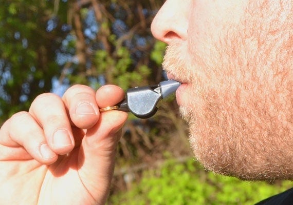 5 Best Dog Whistles For Training & Hunting (21+ Tested!) - Canine Journal