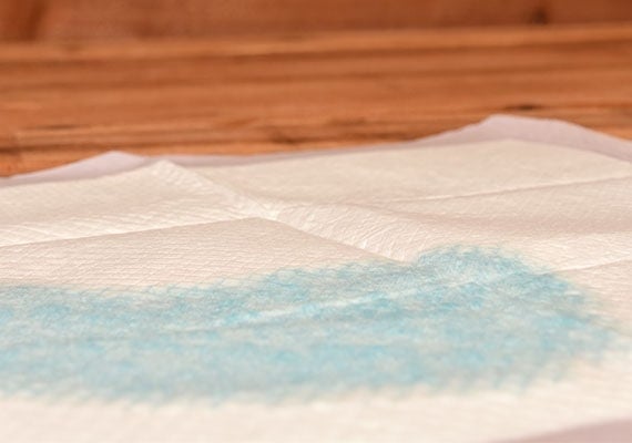 6 Best Leak-Proof Dog Pee Pads | Canine Journal