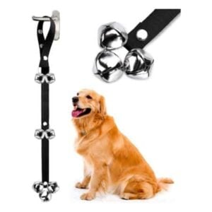 Bell Training For Dogs: The Communication Trick Every Owner Should Try