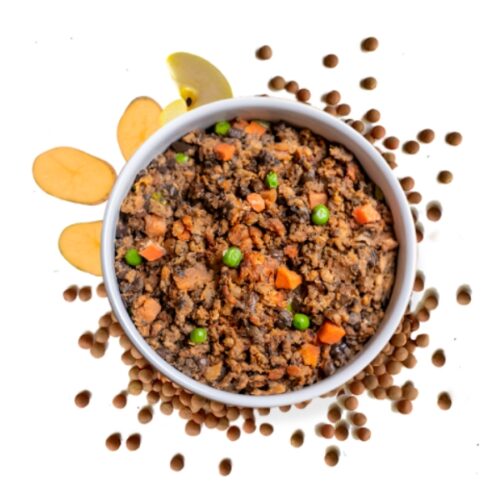 Bramble Dog Food Review: Is This Vegan Dog Food Right For Your Pup?