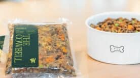 Food Archives | Canine Journal