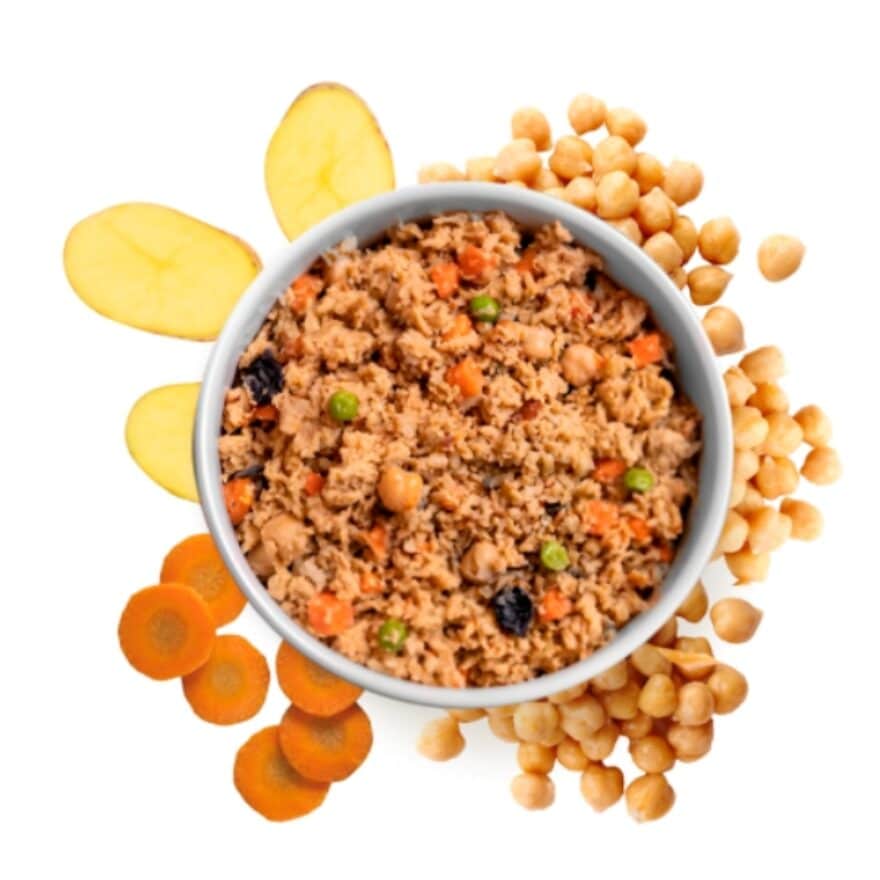 Bramble Dog Food Review: Is This Vegan Dog Food Right For Your Pup?