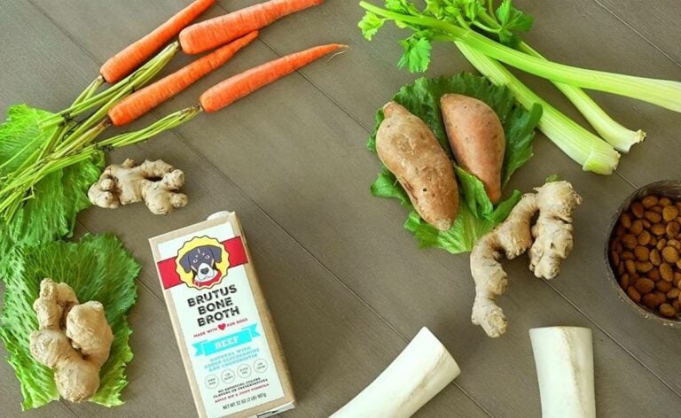 CBG For Dogs: A New All-Natural Health Remedy Showing Great Promise