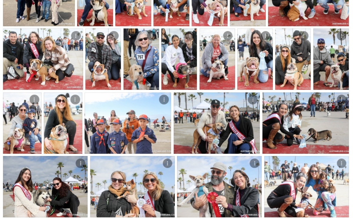 Annual Dog Breed Meet-Ups & Events For Dog Lovers - Canine Journal