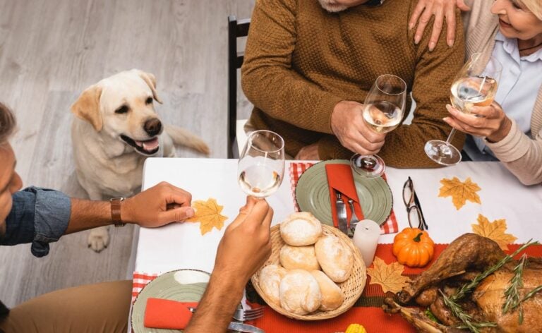 Is Turkey Bad For Dogs? & Other Thanksgiving Foods - Canine Journal