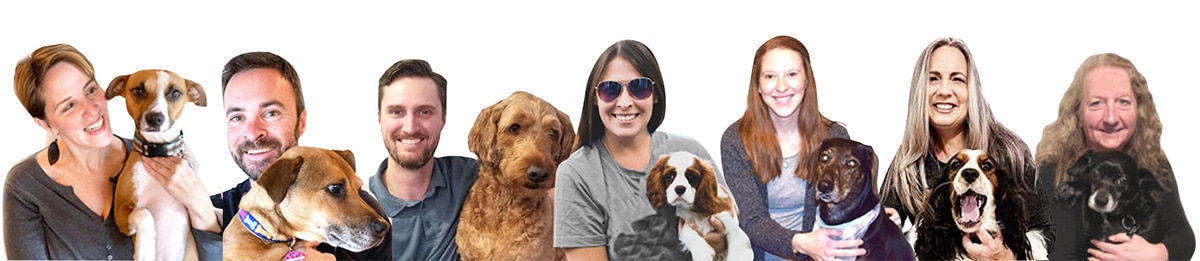 Your Go-To Resource For All Things Dog: Breeds, Health Care, Pet ...