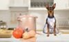 Best Homemade Dog Food Recipes: 8 Vet-Approved & Nutritionally Complete